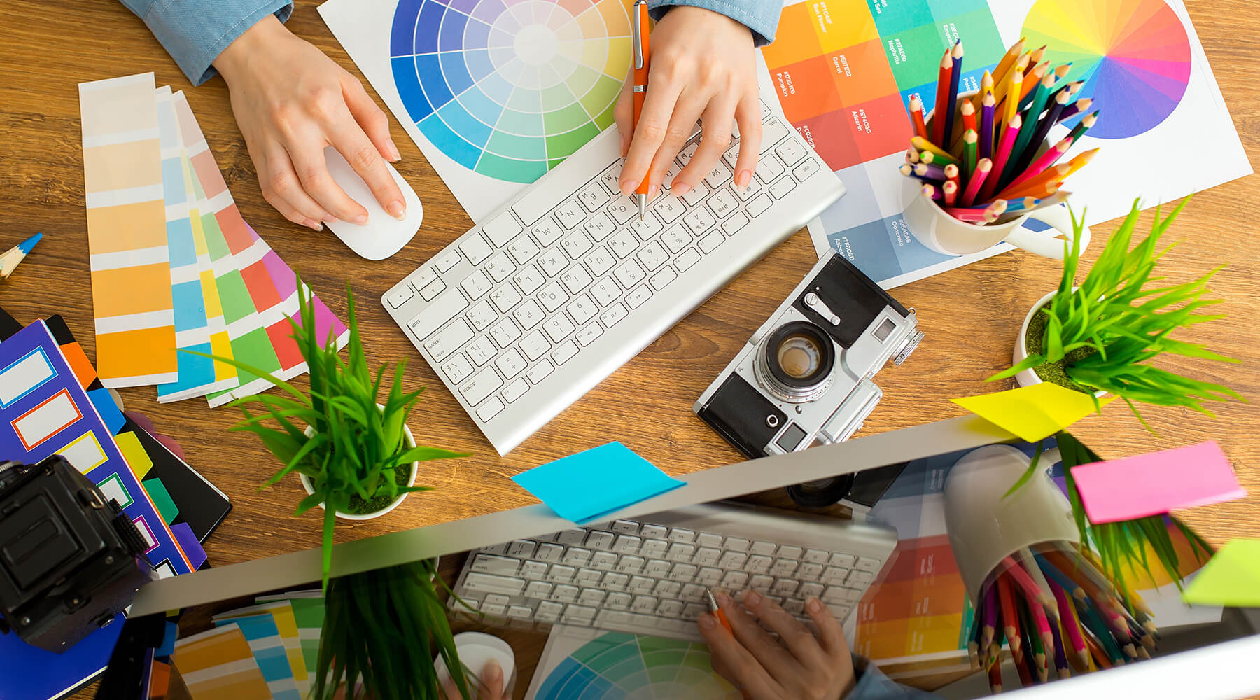 Grafik Tasarımı | Paper Pack